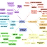 Subcultural Theories of Deviance - ReviseSociology